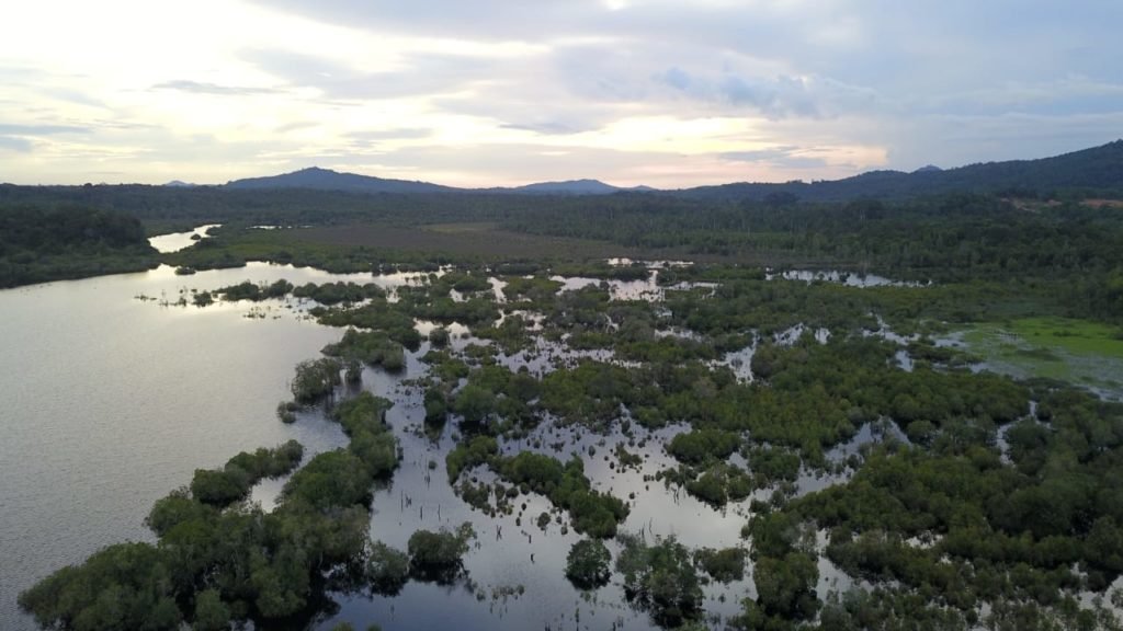 Harga Tiket Danau Laet, Destinasi wisata Baru di Kalimantan Barat ...