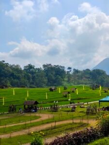 Harga Tiket Tempat Wisata Sumber Gempong dan Fasilitasnya - KATA OMED