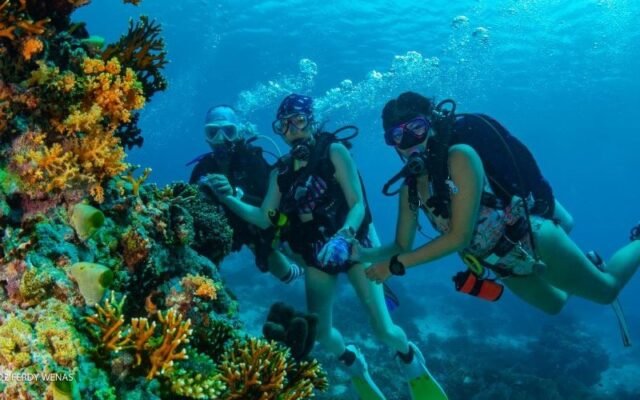 6 Daftar Komunitas Diving di Indonesia - KATA OMED